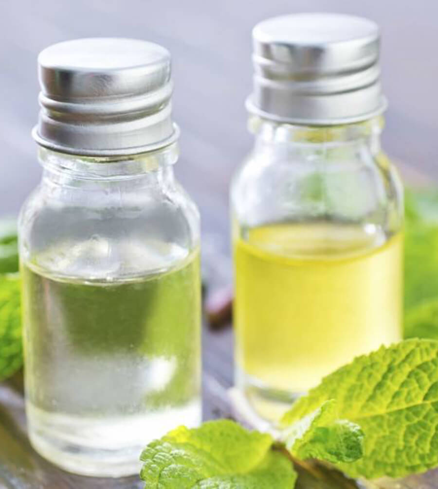 Dầu Gội giảm Rụng Tóc Fresh Shampoo